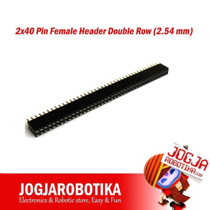 Jual 2x40 Pin Female Header Double Row 2.54 mm | Shopee Indonesia