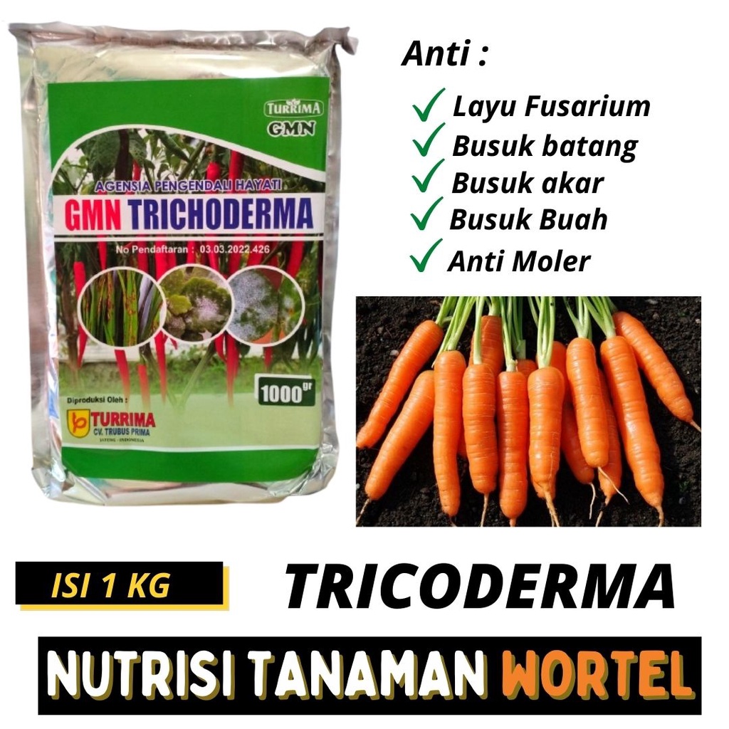 Jual Pupuk Dasar Wortel Terbaik Tricoderma, Trichoderma Hayati 1 KG ...