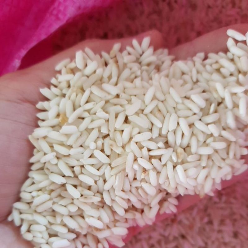 Jual beras ketan 1kg | Shopee Indonesia