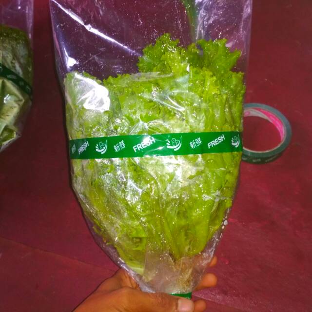Jual Plastik packing sayur ukuran 26×45 ketebalan 03 | Shopee Indonesia