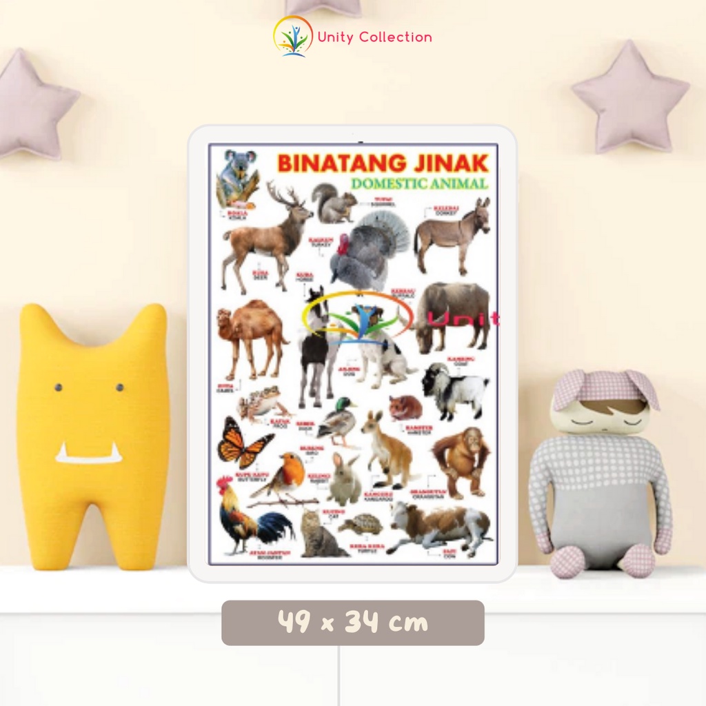 Jual Poster Dinding Edukasi Anak Belajar Gambar Binatang Jinak dan ...