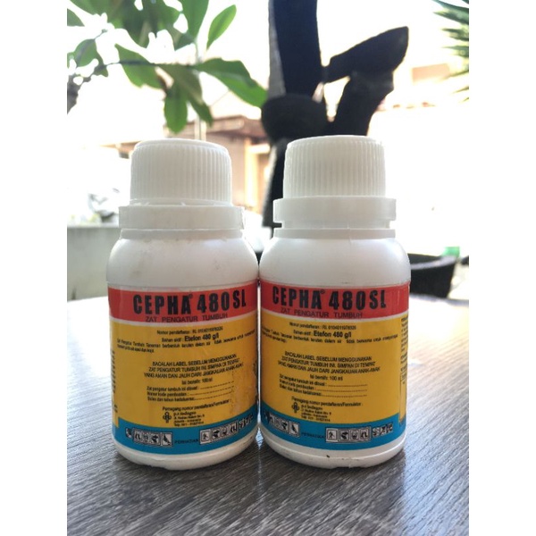 Jual Zat Pengatur Tumbuh (ZPT) Cepha 480 SL 100 ml | Shopee Indonesia