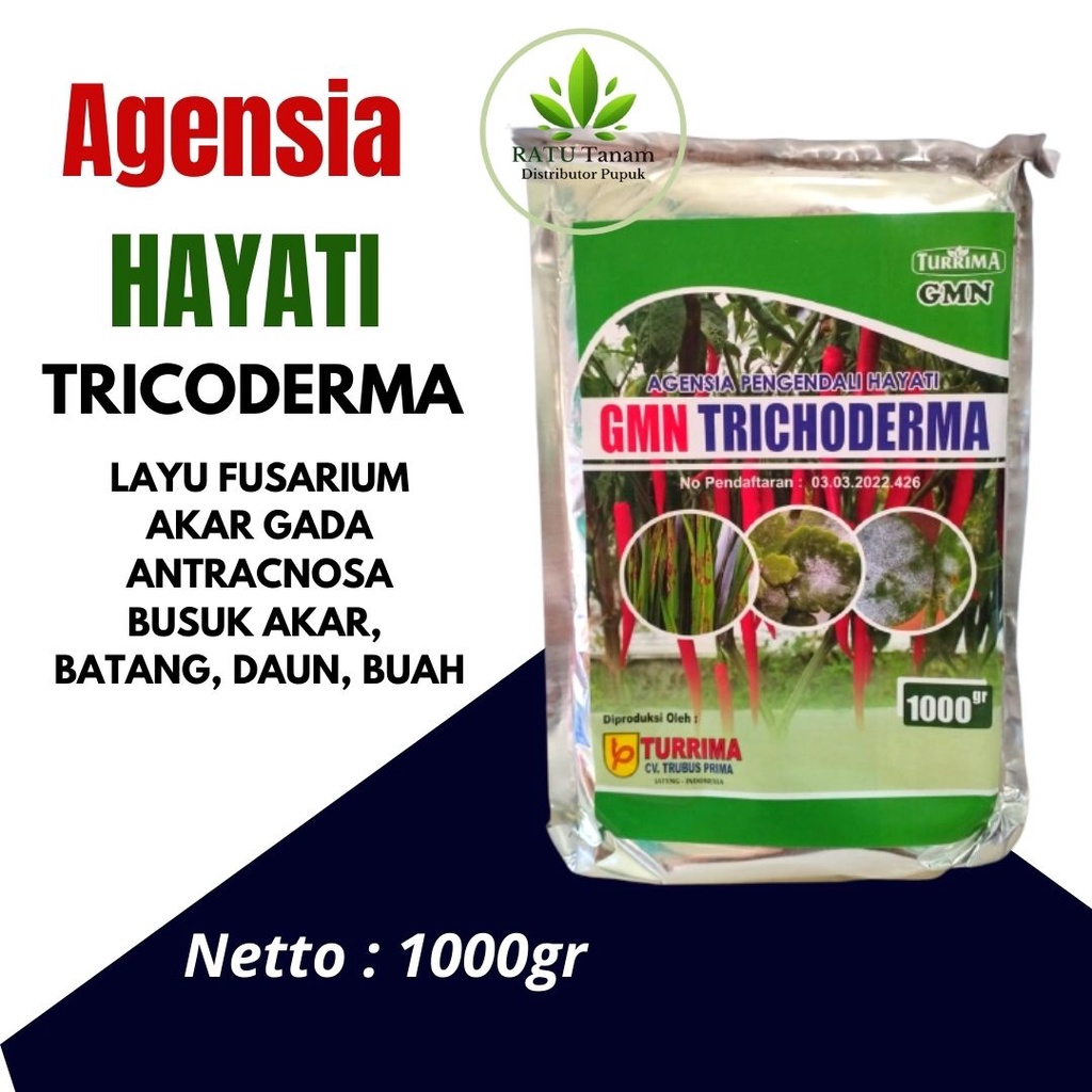 Jual Pupuk Fungisida Hayati Trichoderma Tricoderma GMN 1KG, Trichoderma ...