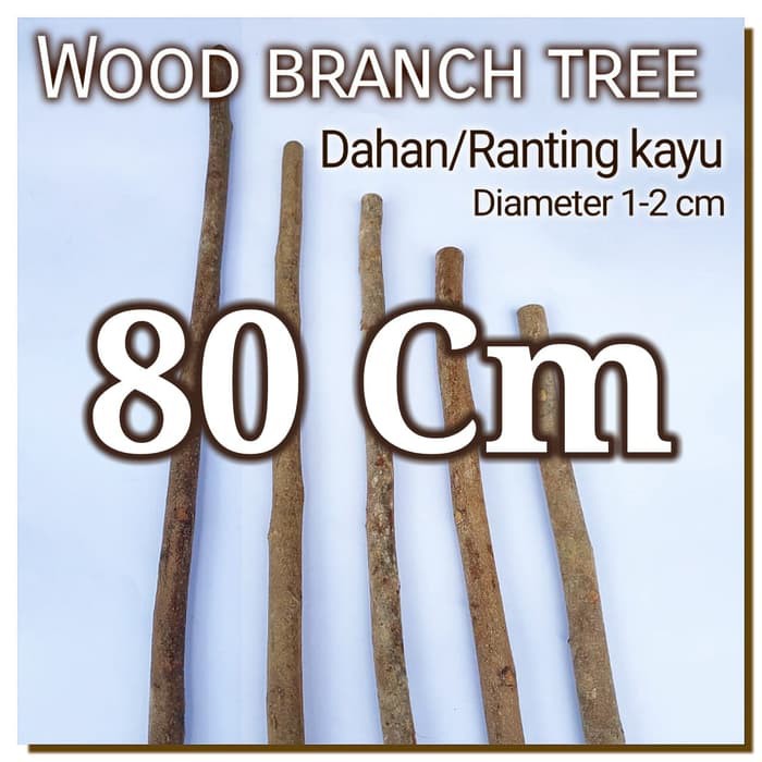 Jual SangKayu Wood Branch Tree 1-2x80 cm Dahan Kayu Potongan Kayu Bahan ...