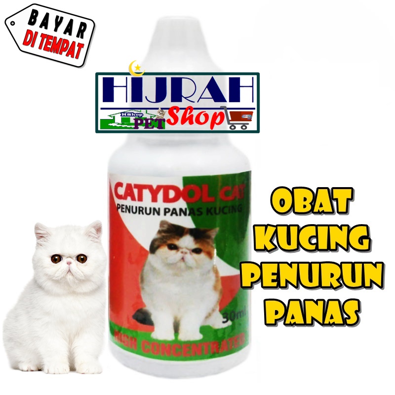 Jual Obat Kucing Obat Penurun Panas Kucing Demam Radang Kucing CATYDOL ...