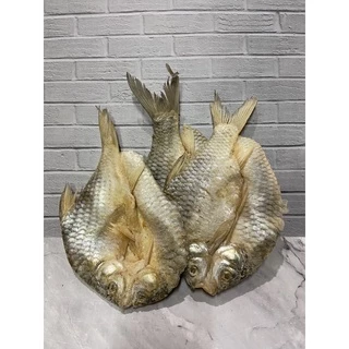 Jual Ikan Tawes Terlengkap & Harga Terbaru Oktober 2024 | Shopee Indonesia