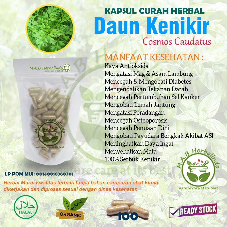 Jual DAUN KENIKIR 100 Kapsul Curah Herbal 600mg Asam Lambung ...