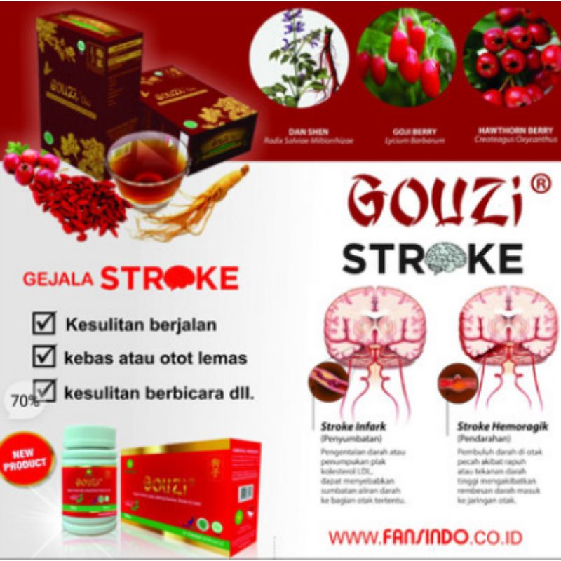 Jual Teh Herbal GOUZI CHA Minuman Kesehatan Stroke Diabetes Liver Dll ...