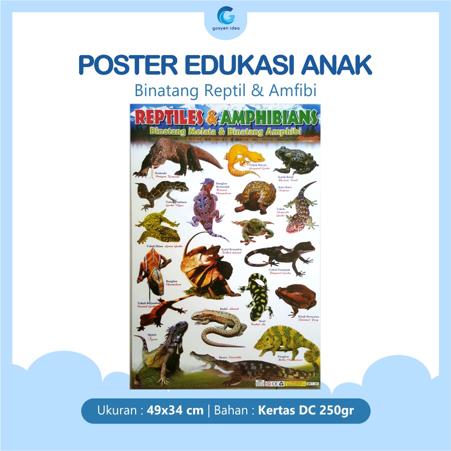 Jual Poster Pendidikan Edukasi Anak Belajar Binatang Reptil | Shopee ...