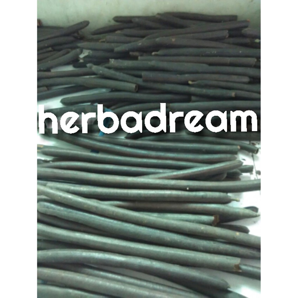 Jual ASAM TRENGGULI KERING 1kg - Cassia fistula - MURNI - JSR - REMPAH ...