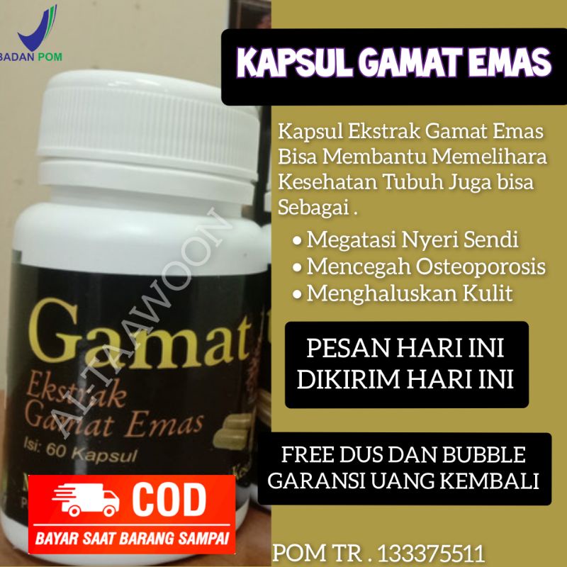 Jual Kapsul GAMAT EMAT , Kapsul Ekstrak Gamat Emas Mengatasi Nyeri ...
