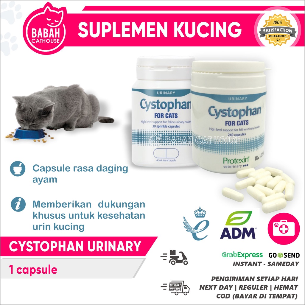 Jual CYSTOPHAN CAT Urinary Obat Saluran Kemih Kencing Kucing Ampuh ...