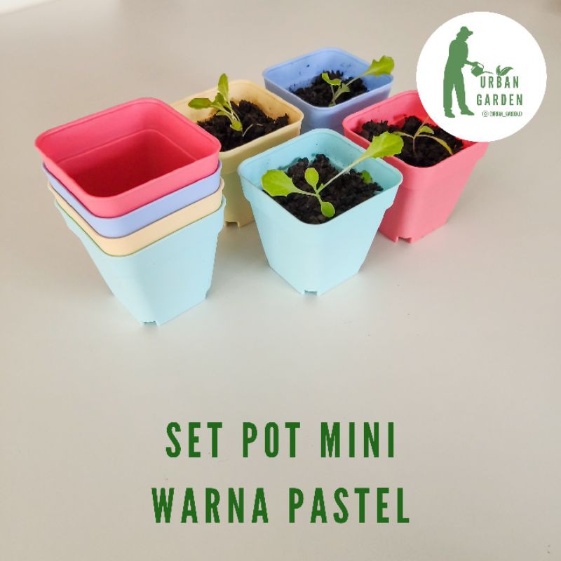 Jual Set pot tanaman mini warna pastel | Shopee Indonesia