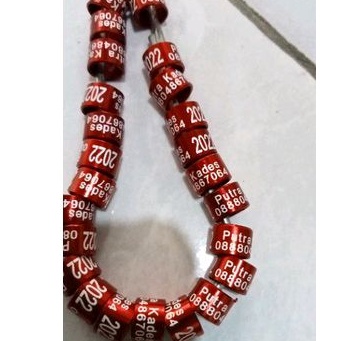 Jual Ring merpati dewasa ukuran id 9mm. tipe laser custom nama dan ...