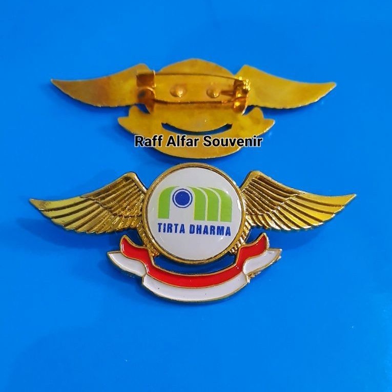 Tirta Dharma Logo