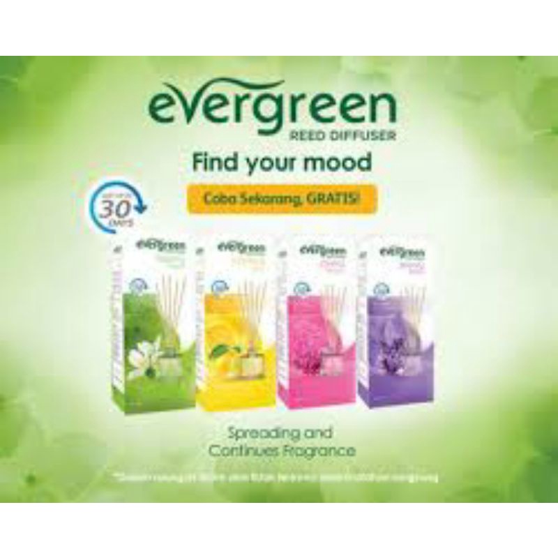 Jual Evergreen Reed Diffuser | Shopee Indonesia