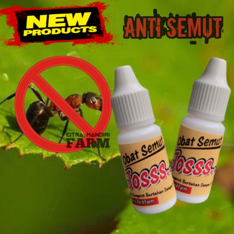 Jual ANTI SEMUT CAIRAN PEMBASMI SEMUT JOOS | Shopee Indonesia