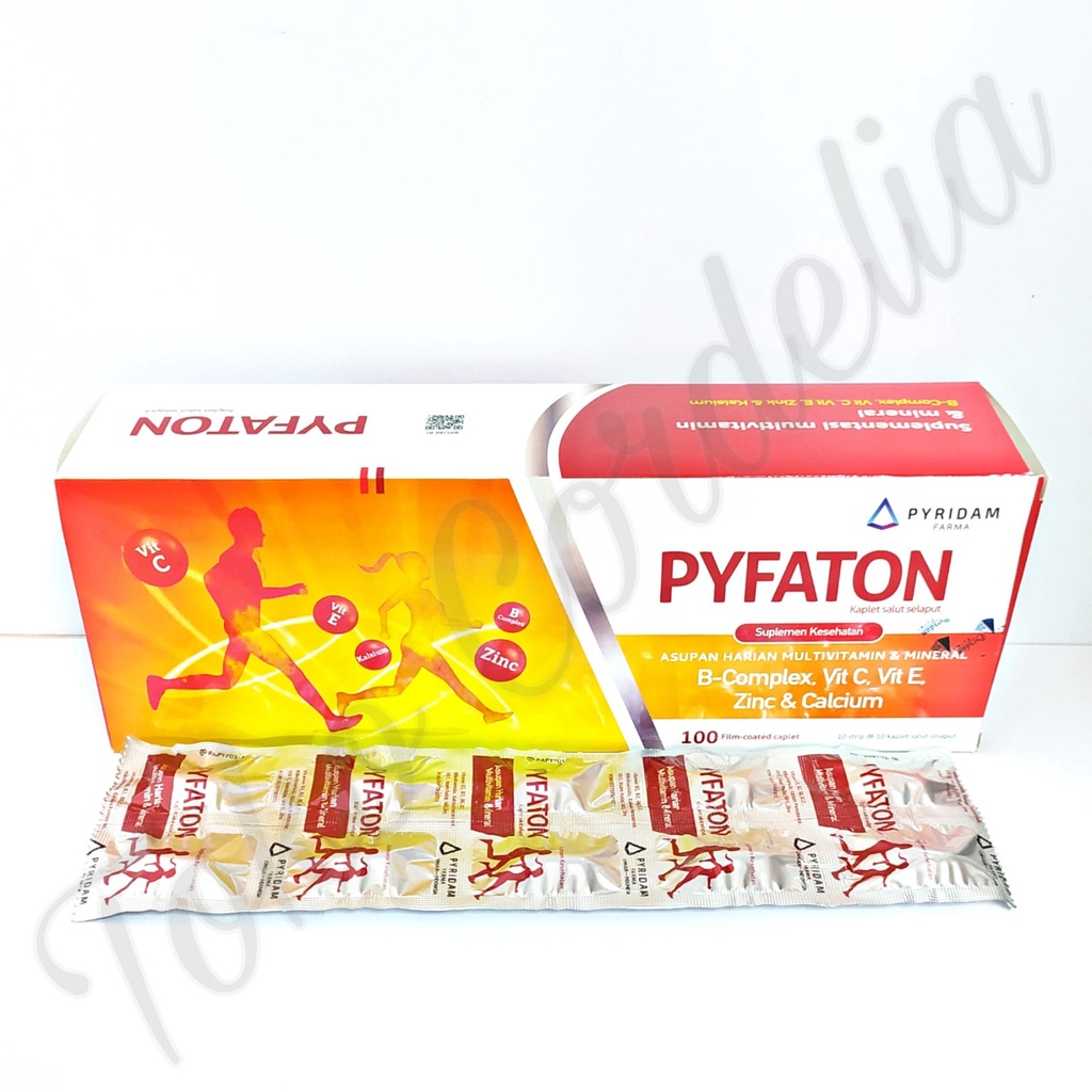 Jual Pyfaton Per Strip Isi 10 Kaplet Suplemen Kesehatan Multivitamin ...