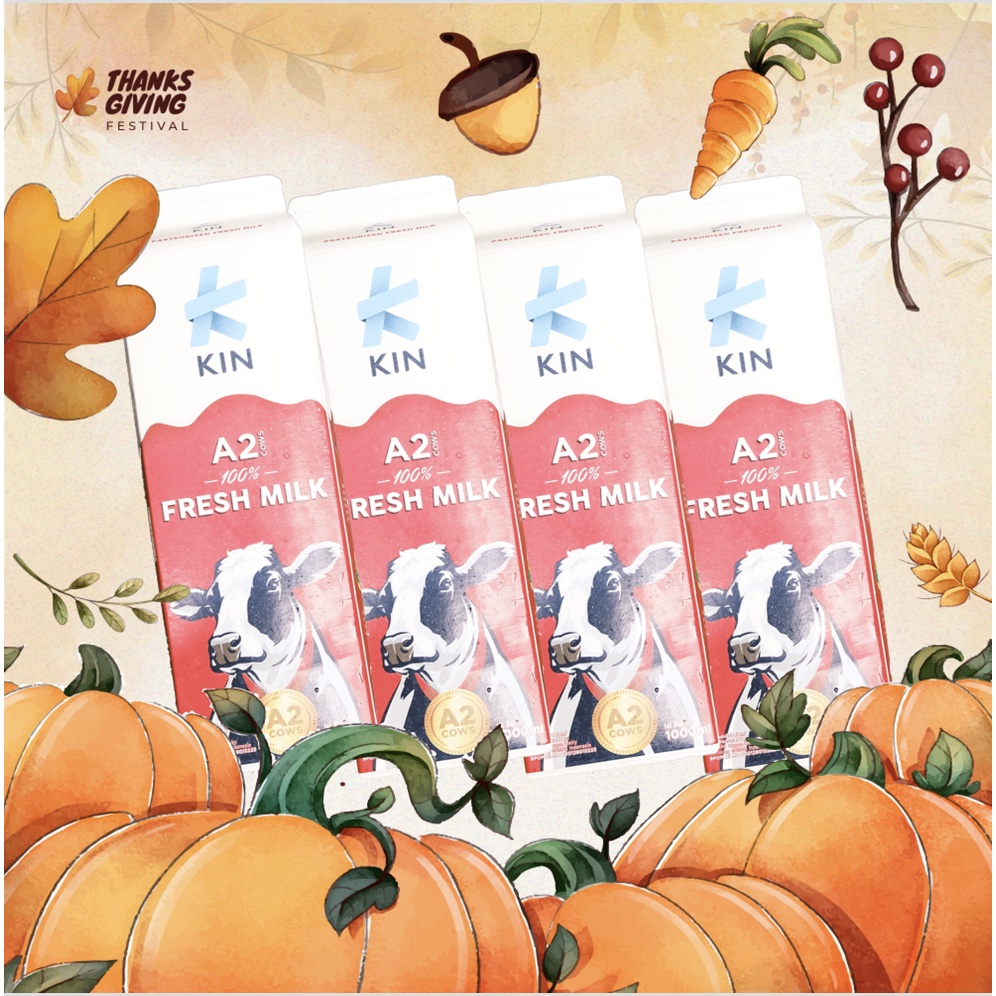 Jual KIN A2 DAIRY FRESH MILK SUSU SEGAR 4 PCS - PROMO | Shopee Indonesia