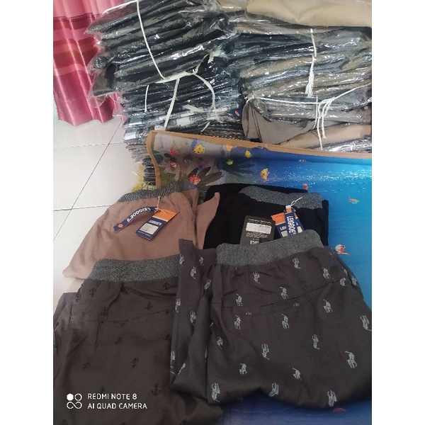 Jual cinos pendek dewasa | Shopee Indonesia