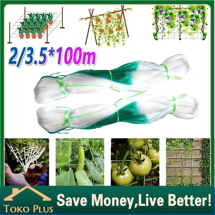 Jual 100M Jaring Rambatan Tanaman Buah Merambat Plant Climbing Net kebun buah anggur/Jaring ...