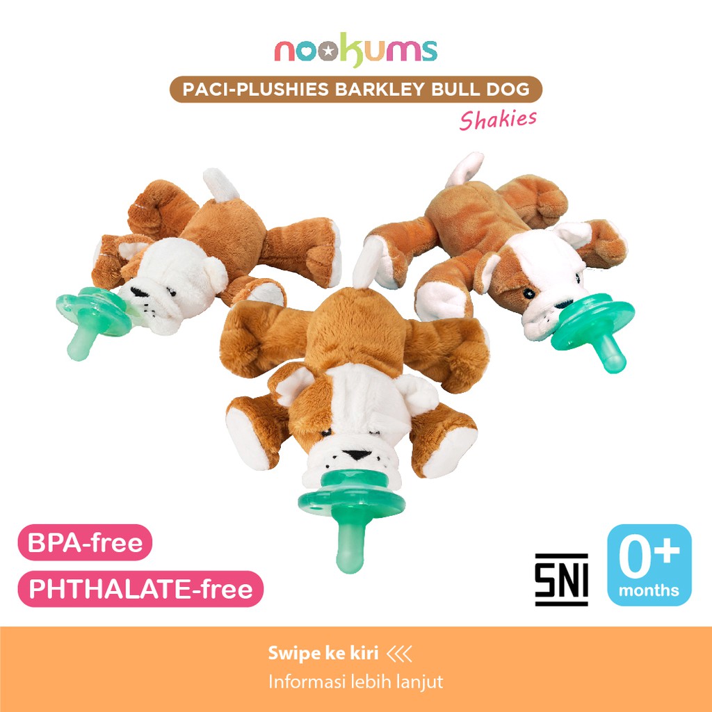 Jual Nookums Paci-Plushies Barkley Bull Dog Shakies / Dot Bayi ...