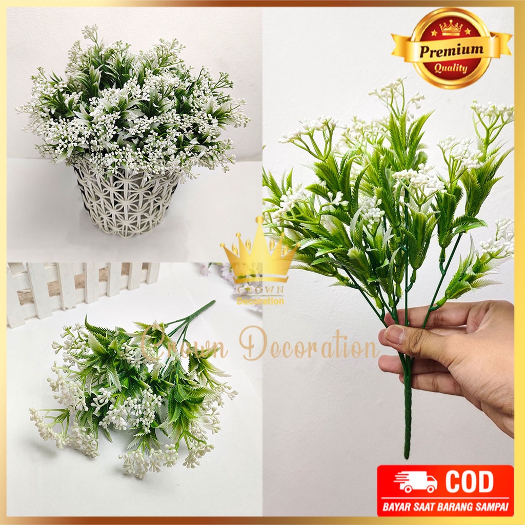 Jual Rumput Hias Nanas Menik Cabang 5 Daun Achilea Baby Breath Pikok ...
