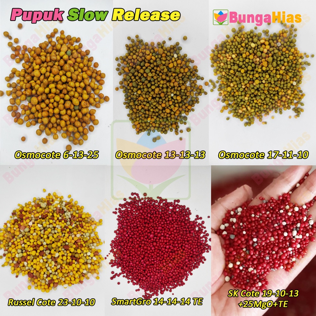 Jual 100 Gram Pupuk Dekastar Plus Osmocote Slow Release Dekastar ...