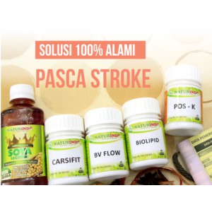 Jual OBAT STROKE-OBAT HERBAL STROKE-STROKE-NATURINDO | Shopee Indonesia