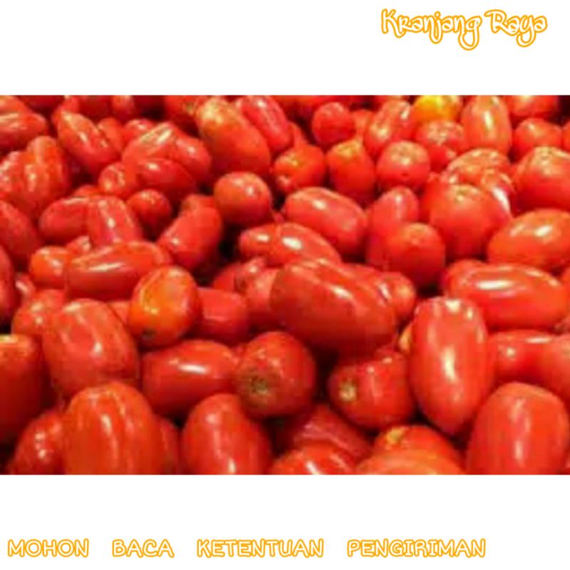 Jual Tomat Merah | Shopee Indonesia