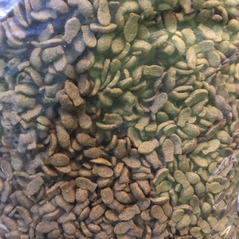 Jual BOLT 800gram Rasa Tuna Salmon Bentuk Ikan Donat Bulat - Makanan ...