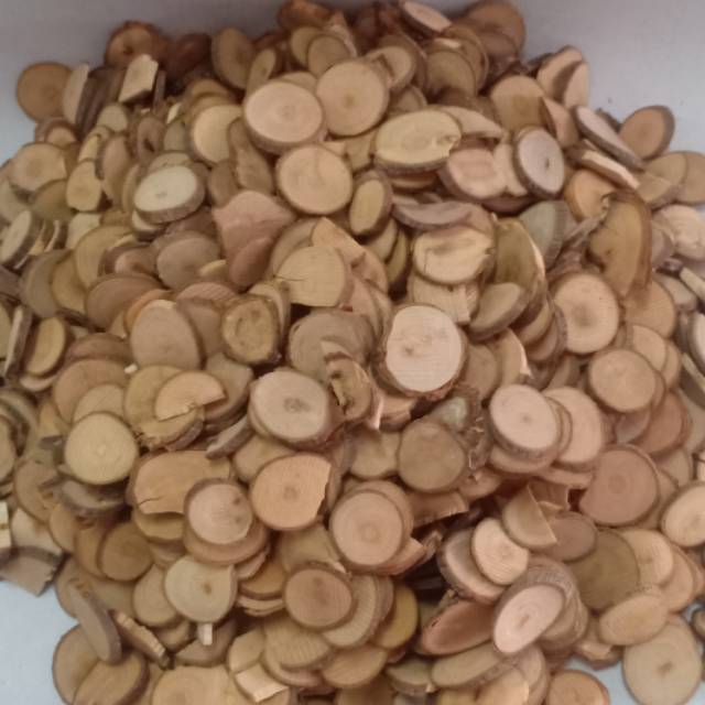 Jual Gui Zhi Pian kui Ki cinnamon twigs cassia twigs 100 gr | Shopee ...