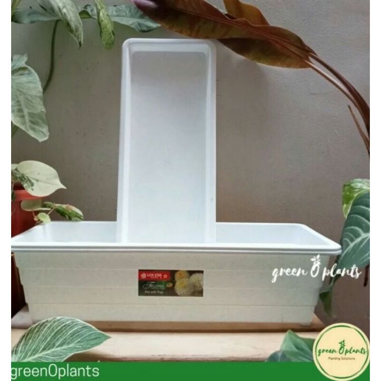Jual Pot Persegi Panjang Lion Star Trivetto dan Tatakan M Putih ...