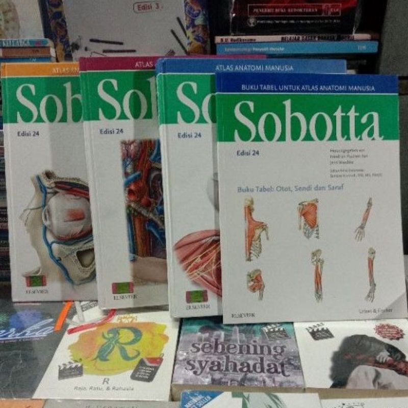 Jual BUKU KEDOKTERAN SOBOTTA EDISI 24 [ ORIGINAL ] | Shopee Indonesia