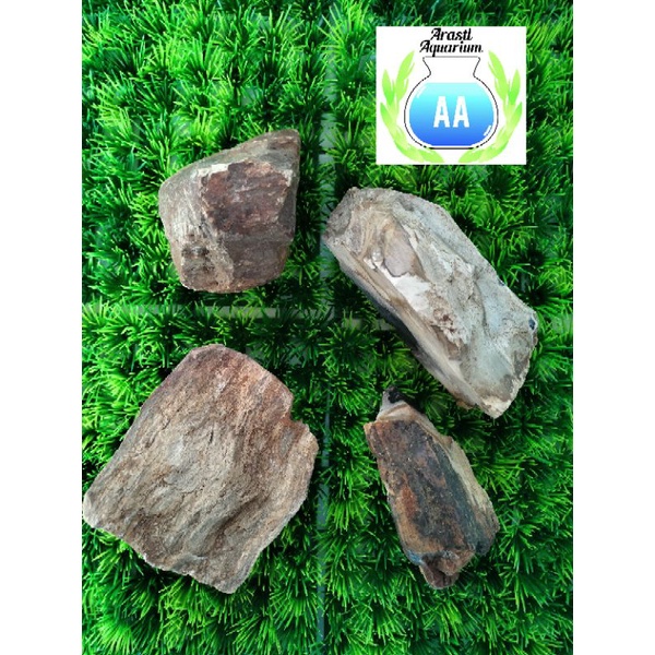 Jual Batu Fosil Aquascape | Shopee Indonesia