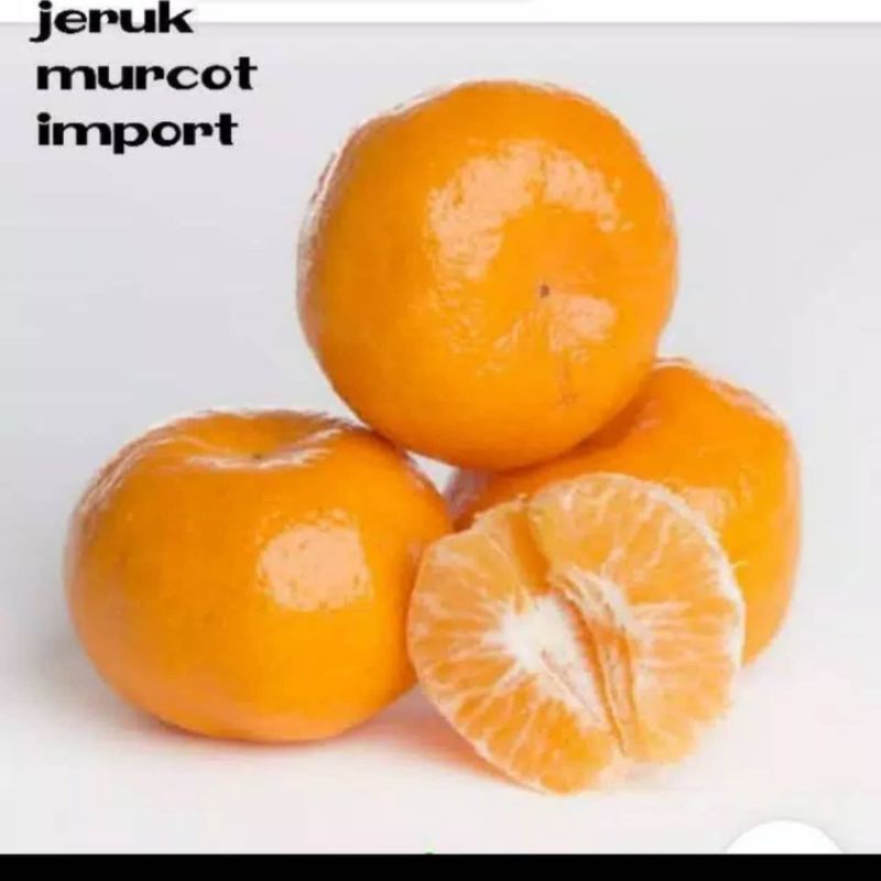 Jual jeruk morcot wogan-kino | Shopee Indonesia