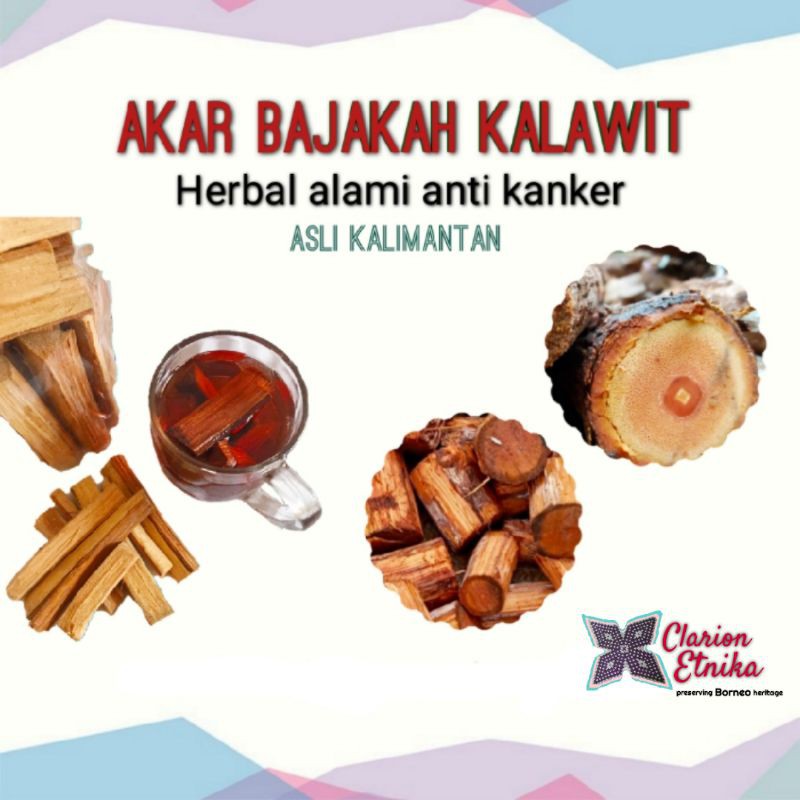 Jual Akar Bajakah Kalawit Asli Kalimantan | Shopee Indonesia