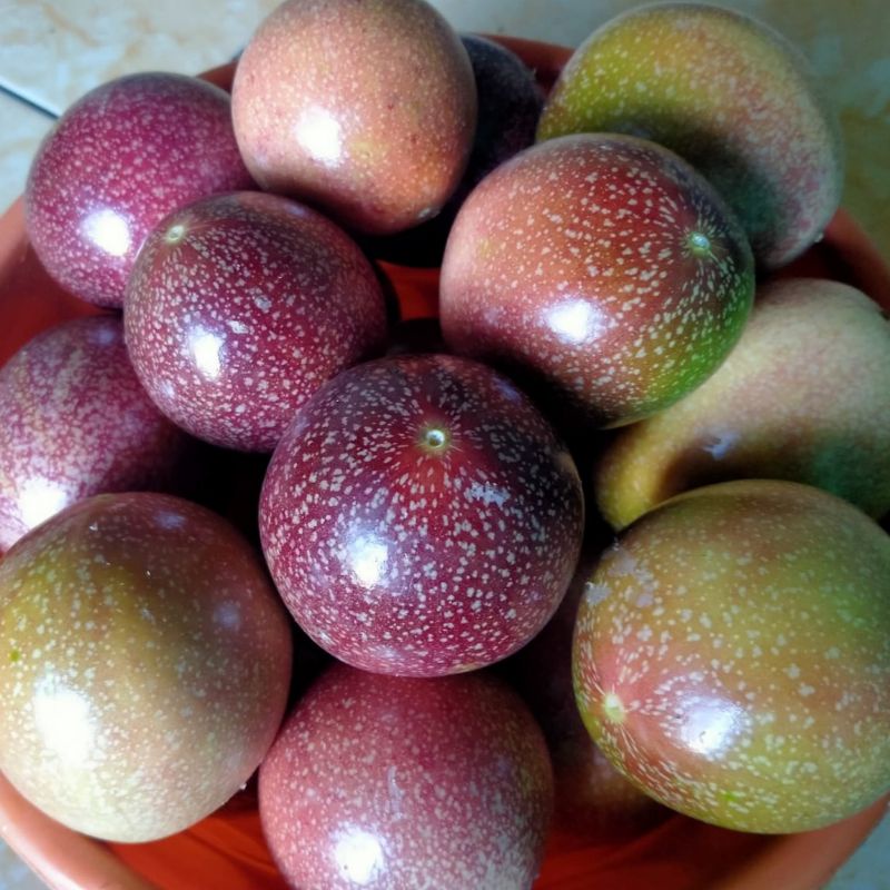 Jual BUAH MARKISA 1 kg | Shopee Indonesia
