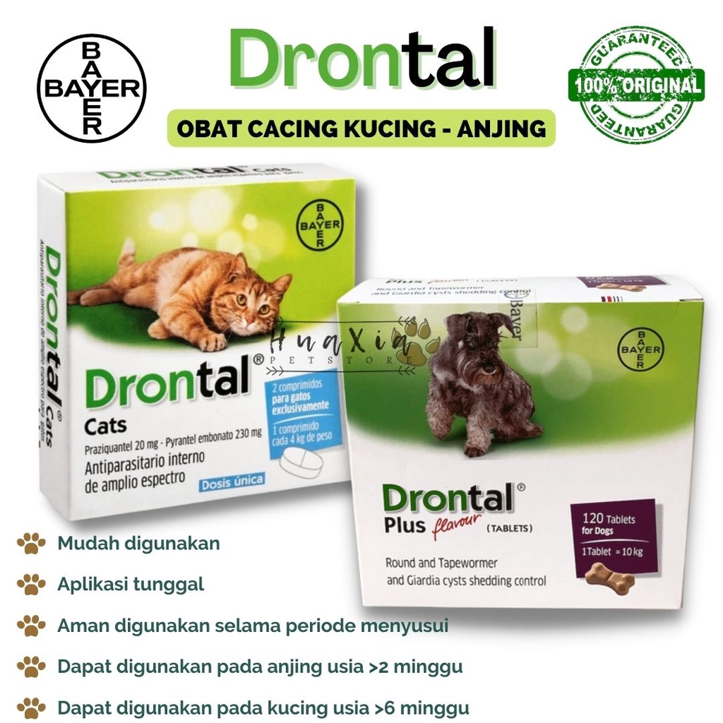 Jual DRONTAL for Cat Dog Obat Cacing Kucing Anjing | Shopee Indonesia