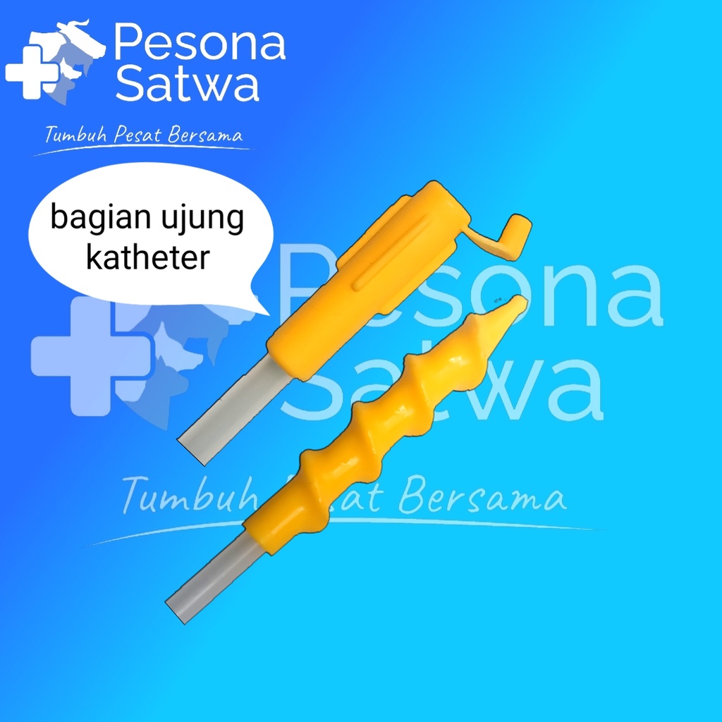 Jual Kateter Babi Spiral - Catheter pig | Shopee Indonesia
