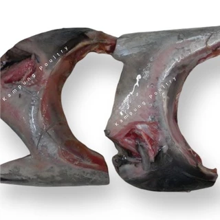 Jual Rahang Tuna Terlengkap & Harga Terbaru Desember 2024 | Shopee ...