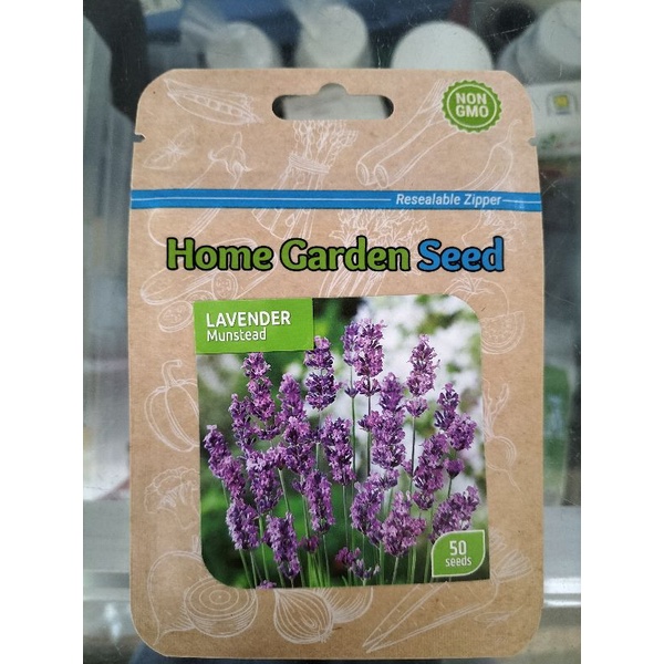 Jual Benih Bibit Bunga Lavender Munstead 50 seeds | Shopee Indonesia