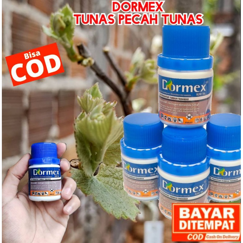 Jual DORMEX PENUMBUH TUNAS ORIGINAL 520 SL HIDROGEN SIANAMIDA HYDROGEN CYANAMIDE | Shopee Indonesia