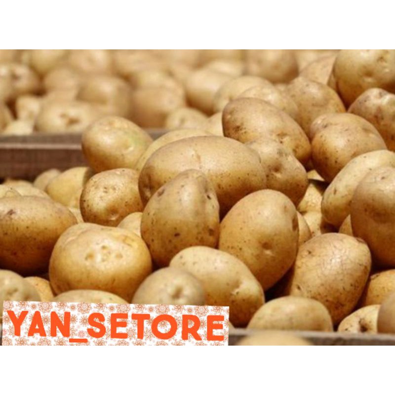 Jual KENTANG DIENG SUPER jumbo (1kg) | Shopee Indonesia