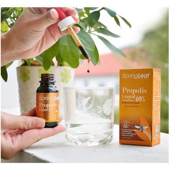 Jual Springleaf/spring leaf Propolis Liquid cair Premium Alcohol Free 40% /25ml made australia ...