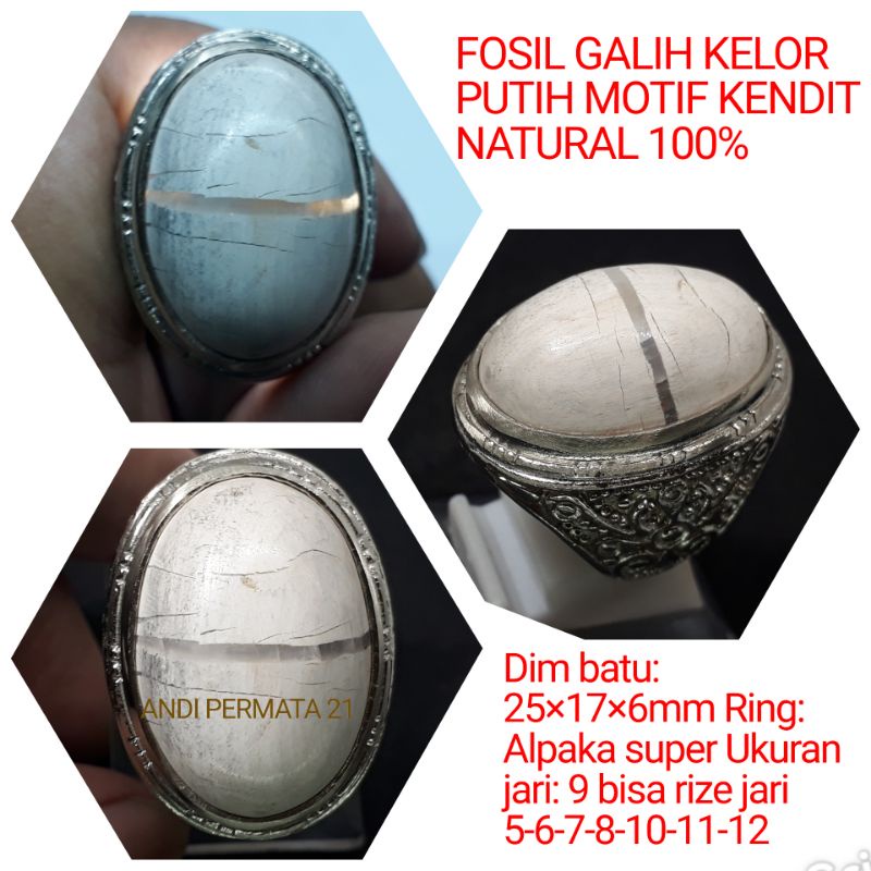 Jual CINCIN BATU FOSIL GALIH KELOR PUTIH KENDIT NATURAL 100% | Shopee ...