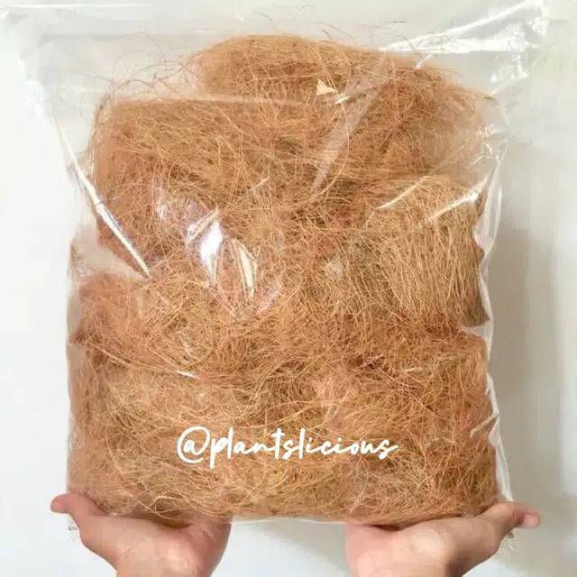 Jual Serabut Kelapa - Coco Fiber 100gr (SIAP PAKAI) | Shopee Indonesia