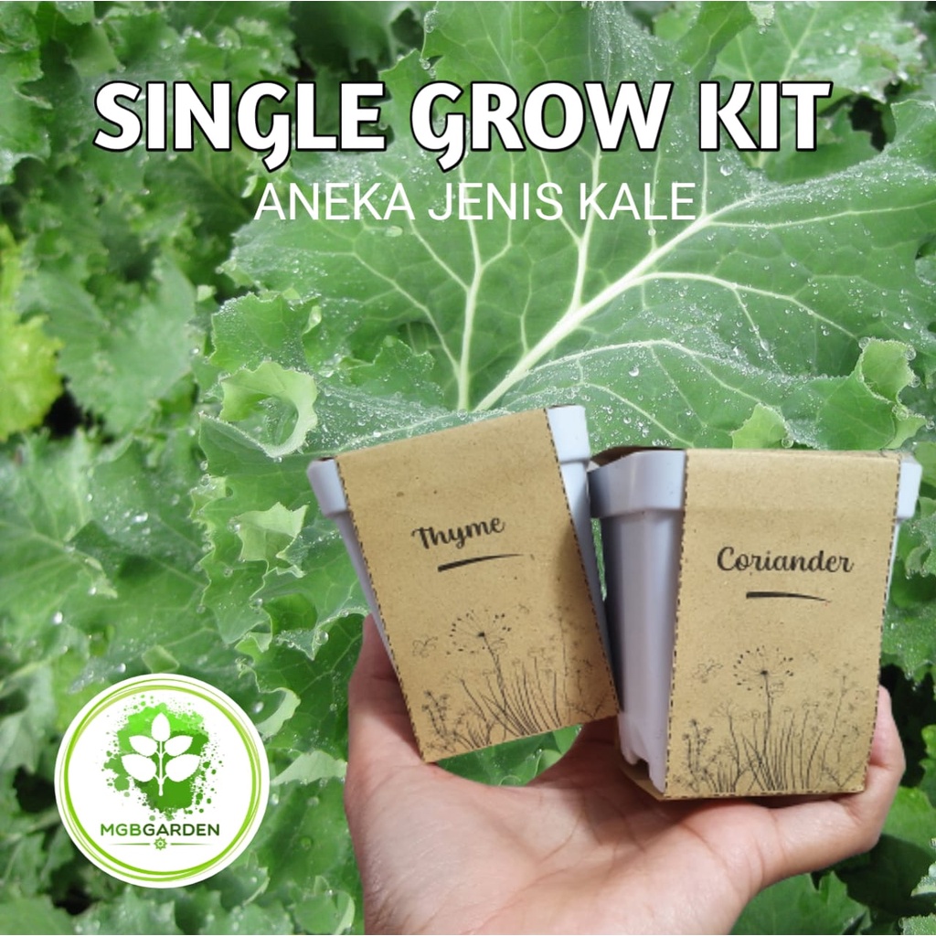 Jual SINGLE GROW KIT SOW EASY PAKET MENANAM MINI - ANEKA KALE | Shopee ...
