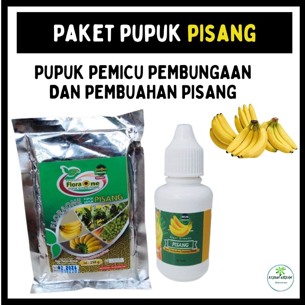 Jual Pupuk Pisang Agar Buah Besar, Paket Pupuk Pisang Booster Hayati dan Hormon Tumbuh, Plus ...