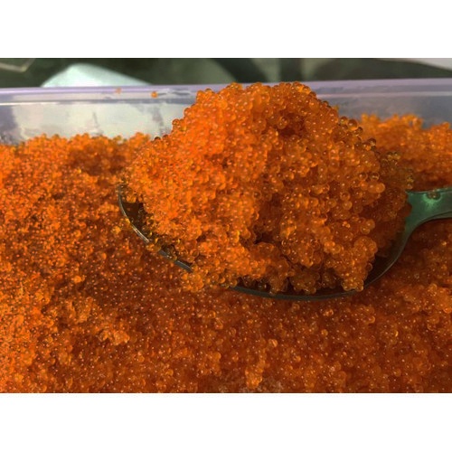 Jual Tobiko Orange Premium 50gr -100 gr | Flying Fish Roe | Telur Ikan ...